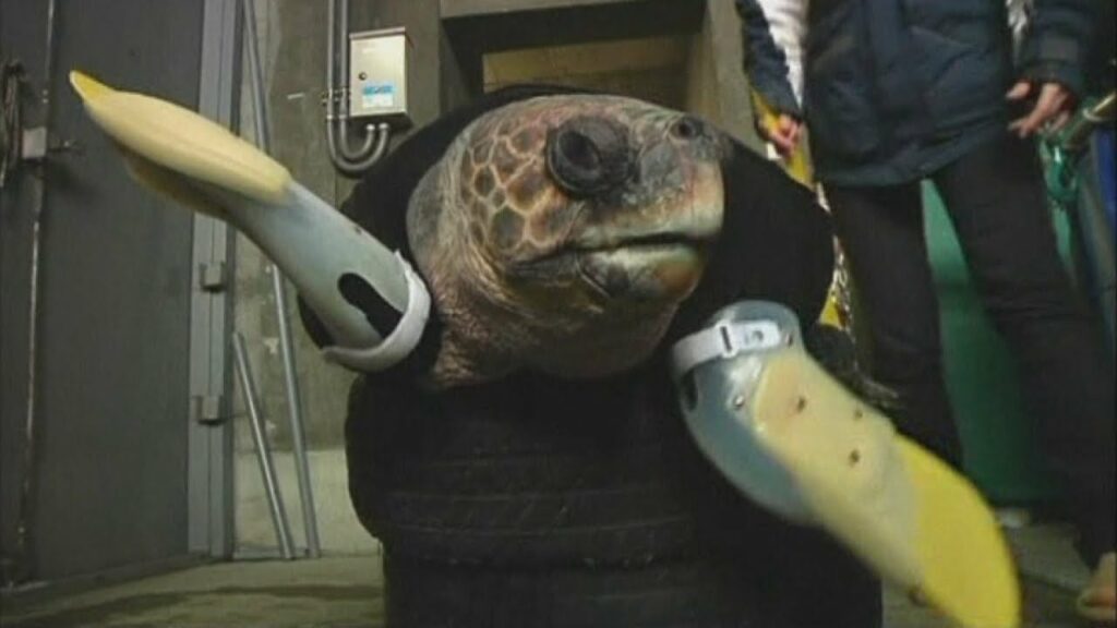 Brian Tagalog le tatoueur sans bras tatoue avec les pieds [video ...