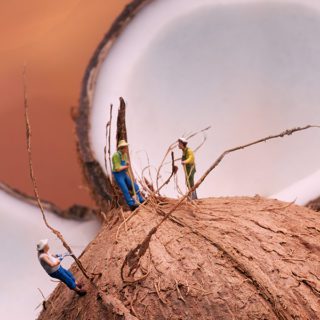 Minimize – Food par William Kass - 2Tout2Rien