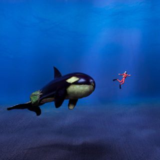 Minimize – Food par William Kass - 2Tout2Rien