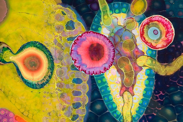 Les créations psychédéliques en peinture et résine de Bruce Riley ...