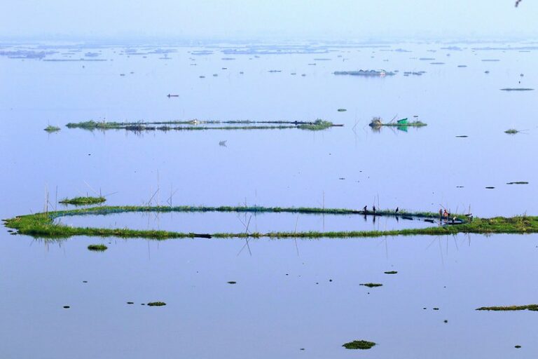 Les phumdis du lac Loktak - 2Tout2Rien