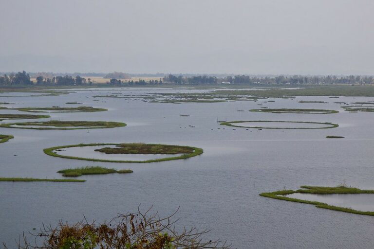 Les phumdis du lac Loktak - 2Tout2Rien