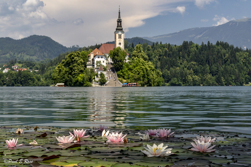 île du lac de Bled en Slovénie