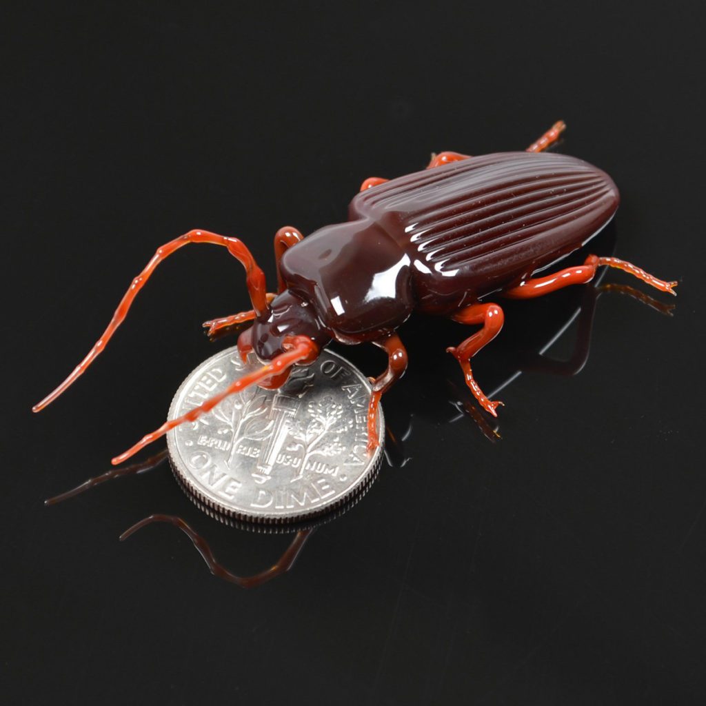 Les délicats insectes de verre de Wesley Fleming - 2Tout2Rien