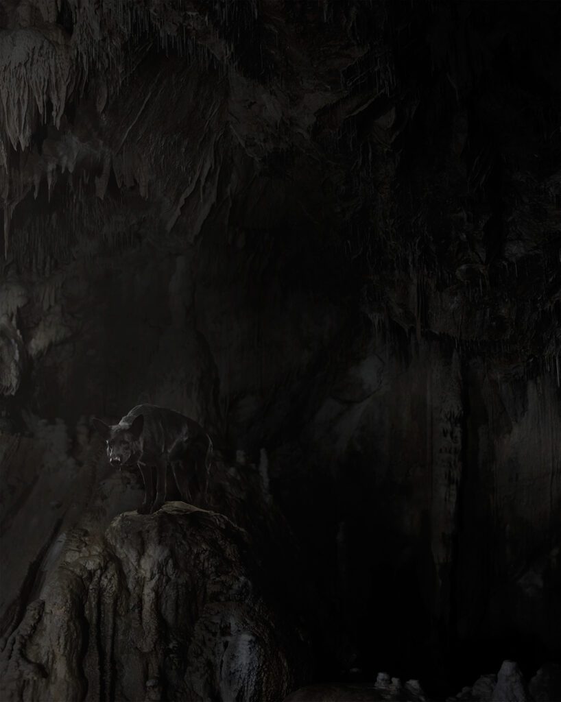 Quelques portraits de chiens par Brandon Voges - 2Tout2Rien