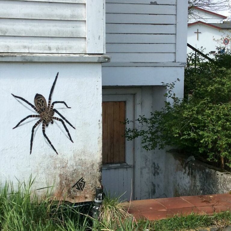 20 nouveaux délicieux graffitis par JPS - 2Tout2Rien