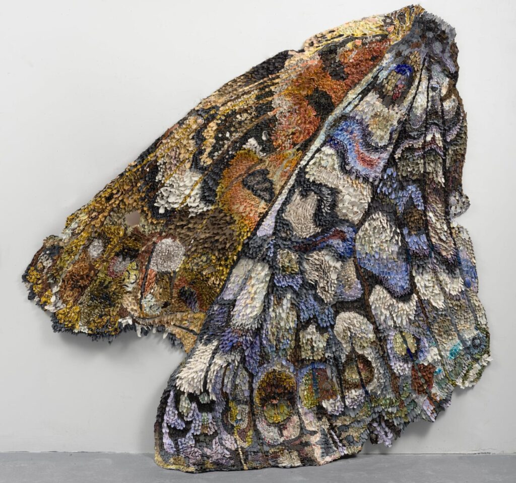 L'incroyable performance de Gabby le chien papillon dans un parcours d ...